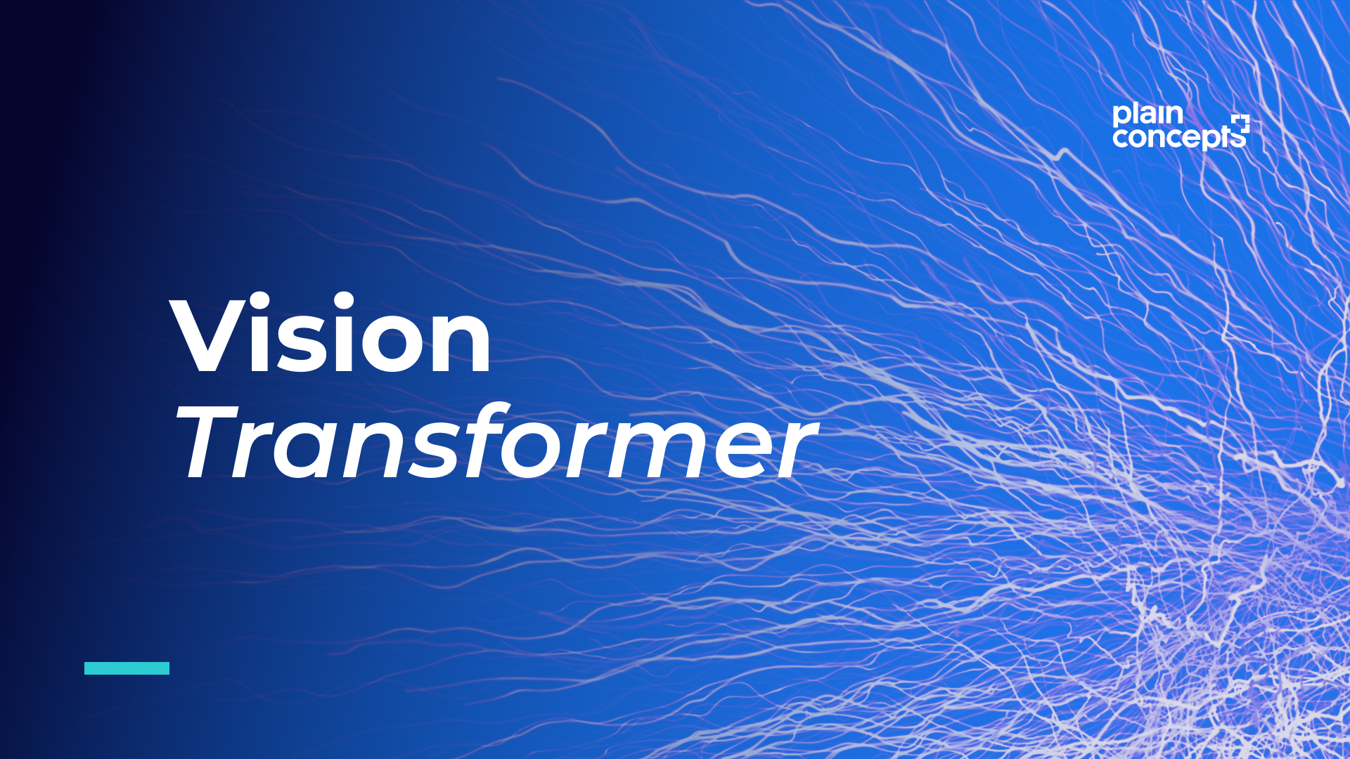 Vision Transformers: The end of convolutional neural networks?Plain ...